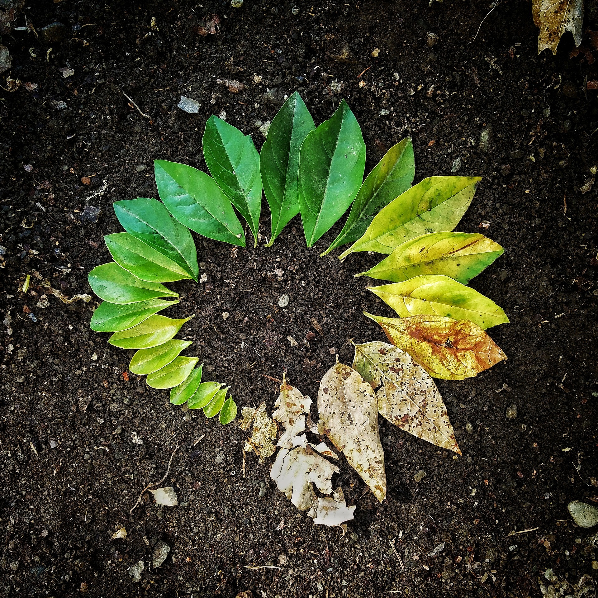 Embodied Carbon Assessment - Circular Ecology
